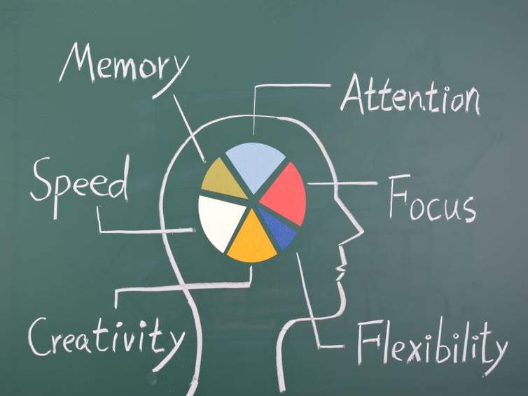 ¿Qué es la psicología educativa y cuáles son sus funciones ...